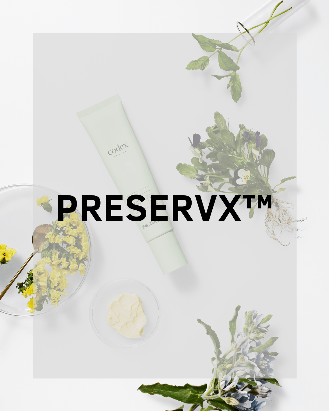 Codex Breakthrough: Our Food-Grade Pr... – Codex Labs U...